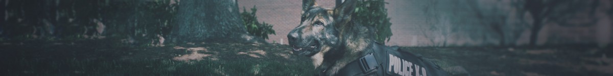 Farmington | Police Department