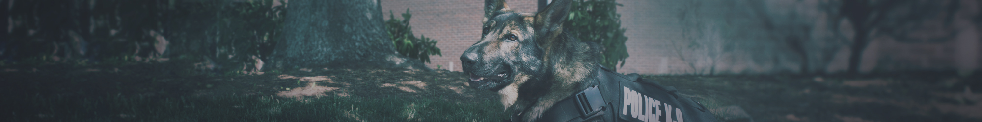 Farmington | Police Department